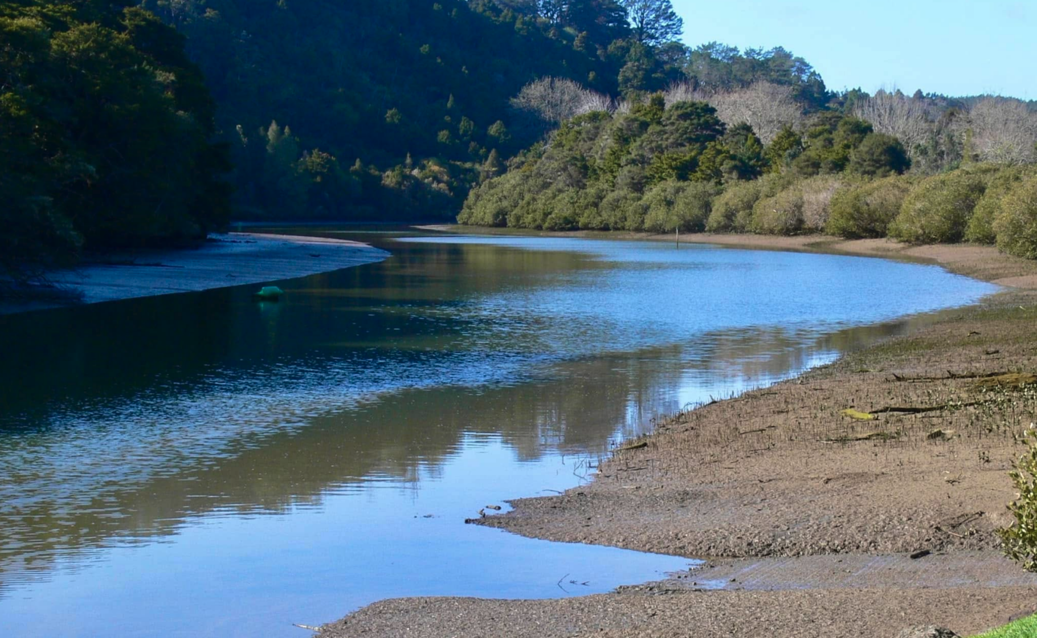 Missing: Urgent Search Underway After Vehicle Swept Away in Mahurangi ...